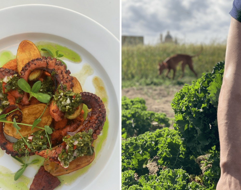 Dining Out! Served suggests top eateries in Malta & Gozo this Santa Maria